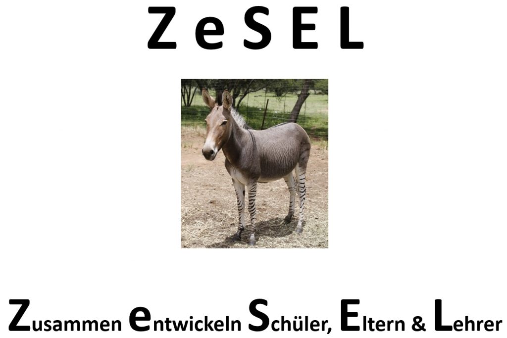 ZeSEL | GKS Wüstenrot